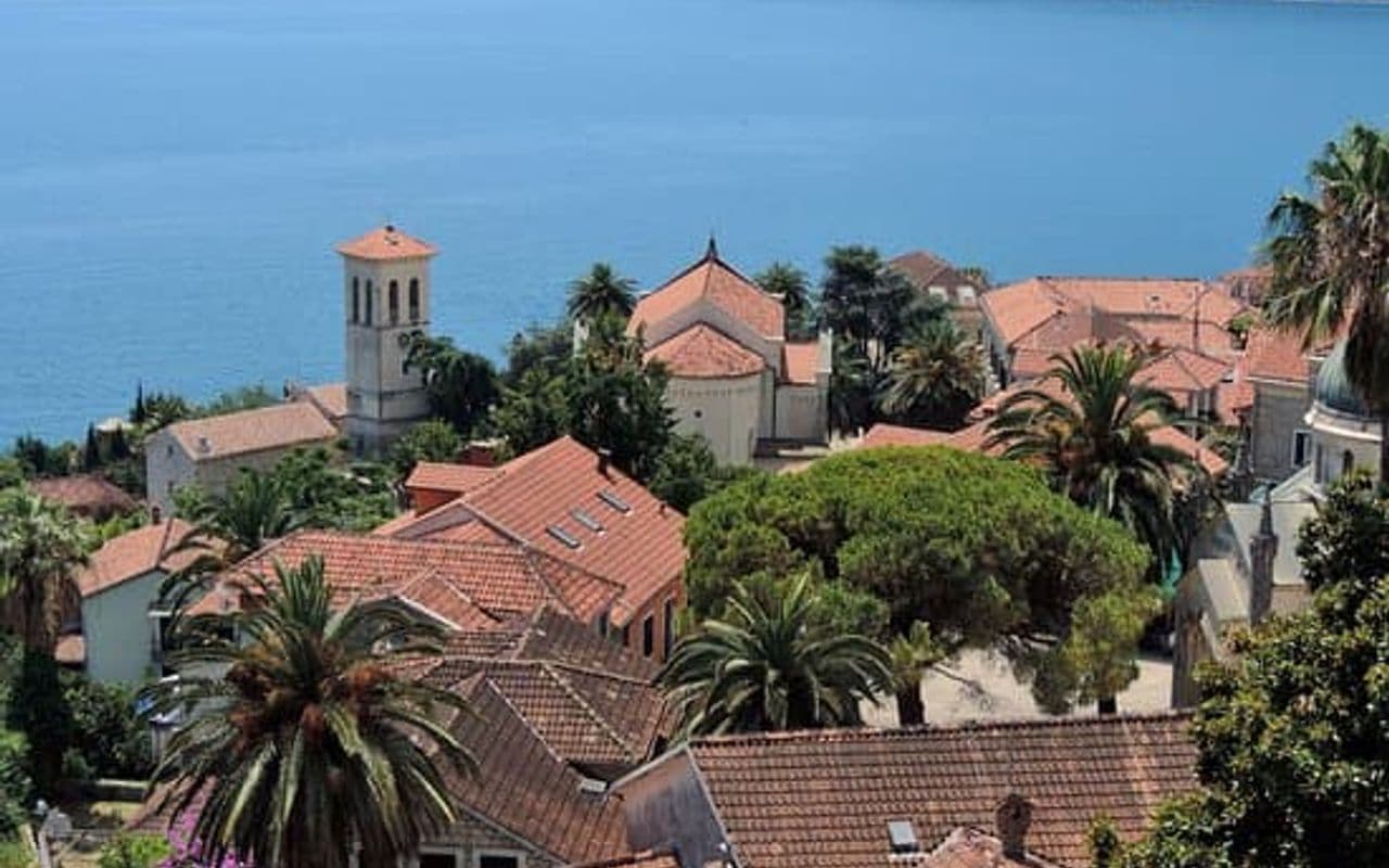 Registrovan prvi slučaj majmunskih boginja u Herceg Novom