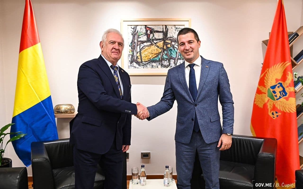 Bečić: Očekujem detaljnu analizu organizacionih jedinica policije