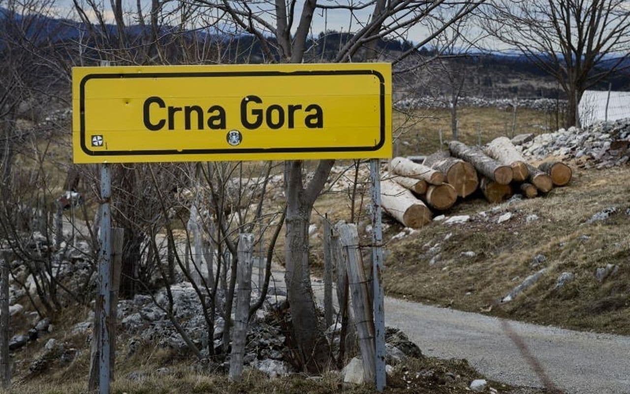 Državna firma za sječu umjesto dosadašnjeg sistema koncesija