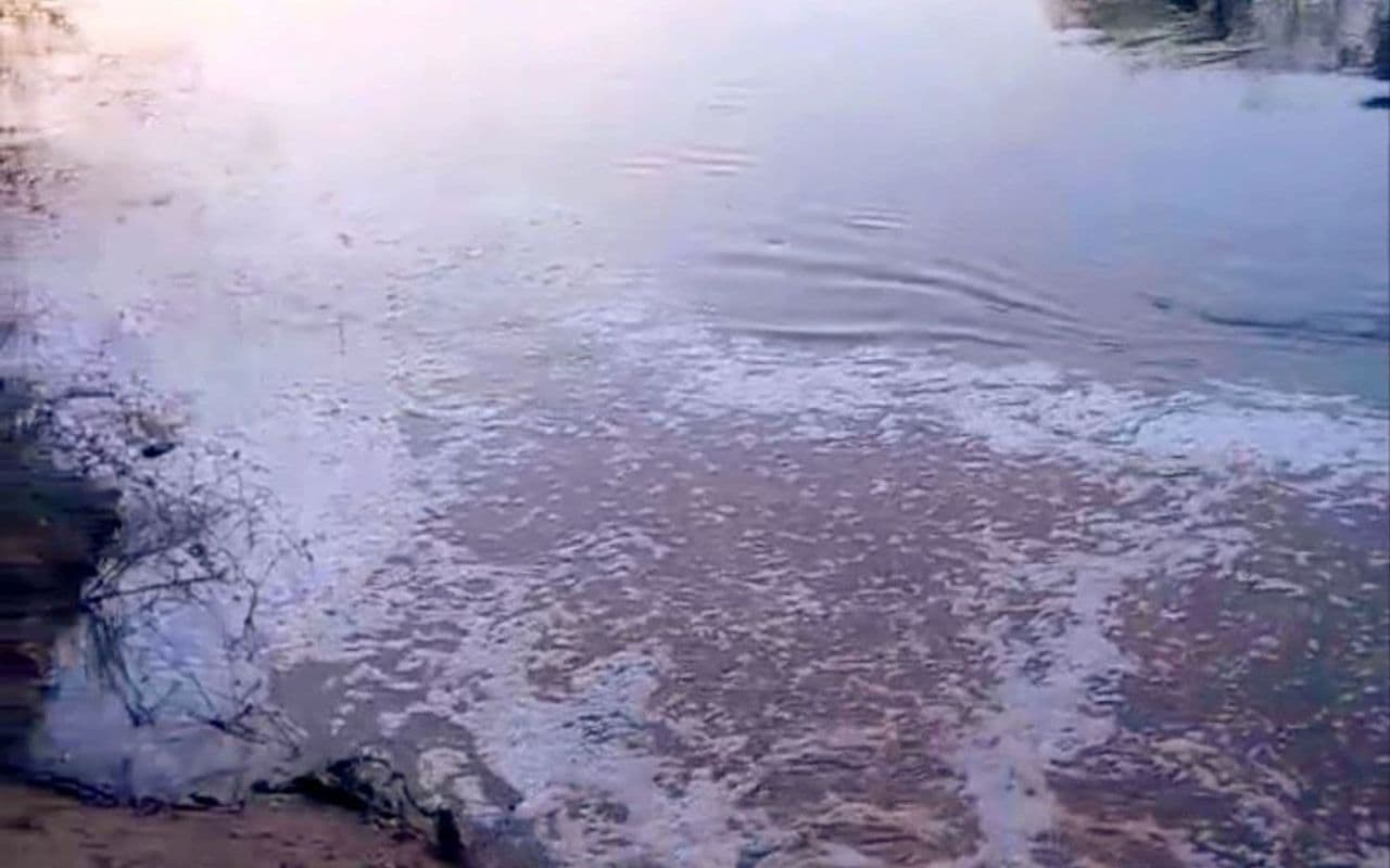 Iković uputio urgenciju: Inspekcija da zaustavi ispuštanje krvi iz ...