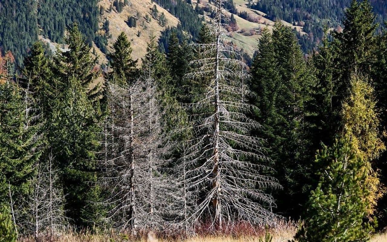 Inspektorima će šefovi biti oni čiji su rad do sada kontrolisali