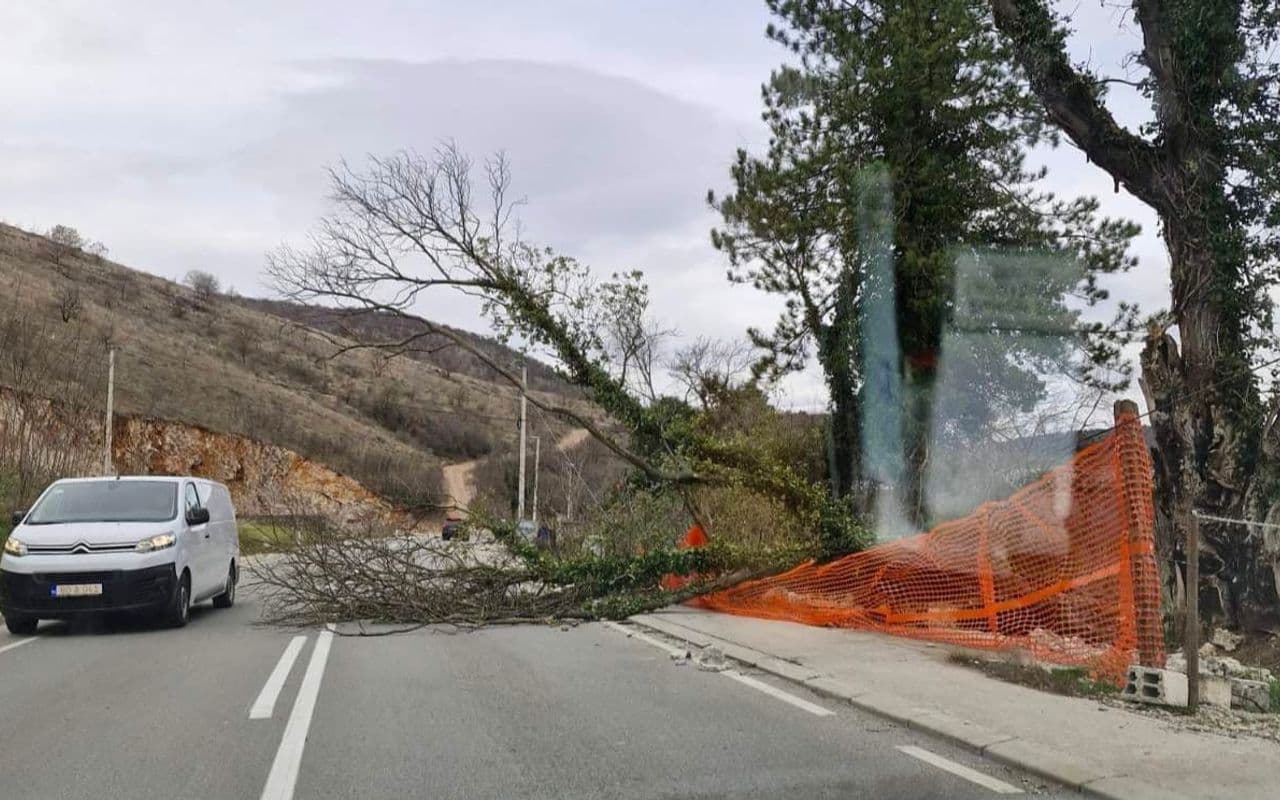 Jak vjetar oborio drvo na putu ka Veljem brdu - Pobjeda