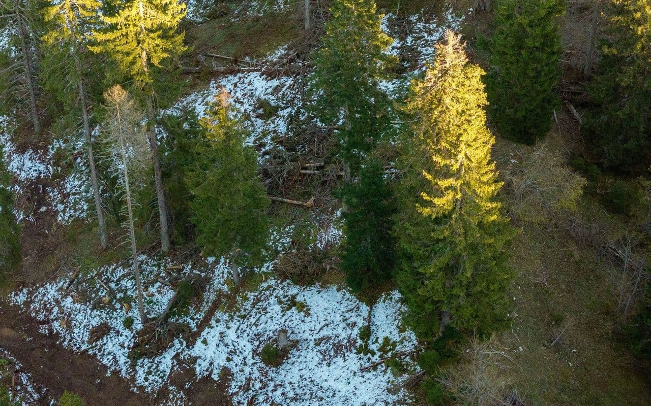 Ministarstvo poljoprivrede podnijelo ODT-u krivične prijave zbog ...