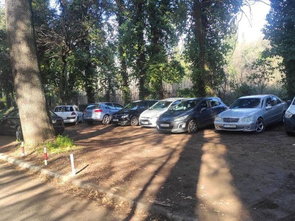 Zeleni pojas Beogradske ulice nestaje pod automobilima - Pobjeda