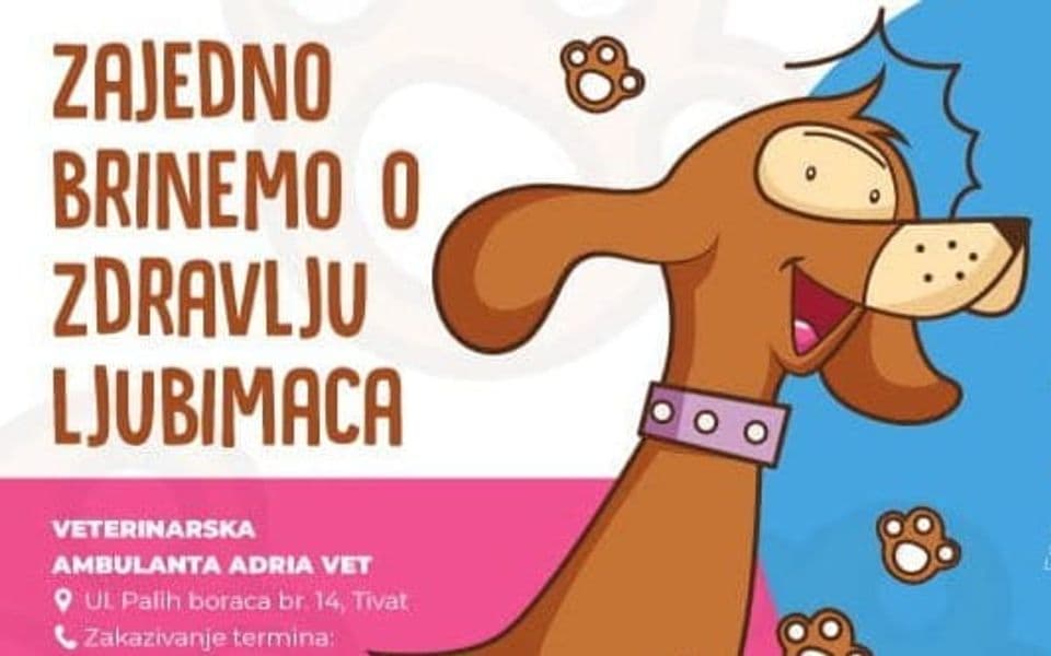Tivat: Besplatna identifikacija, registracija i vakcinacija protiv ...